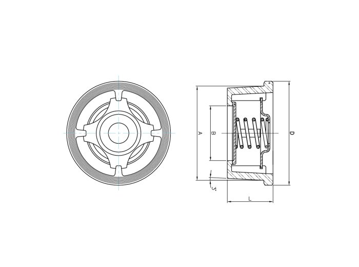 Wafer-type check or non return disc valve 90030 | Water Fitters